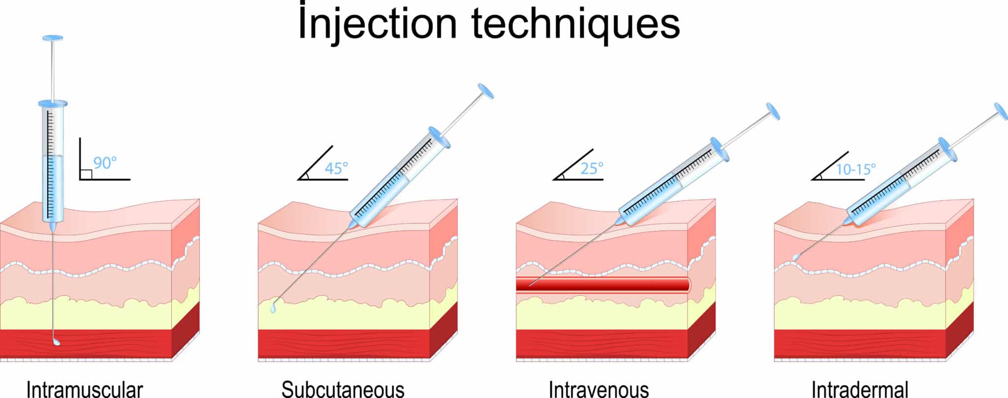 Drug Absorption in Pharmacokinetics: Routes, Factors & First-Pass Effect