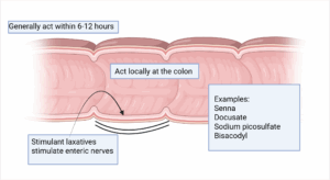 Laxatives Made Simple: Classes, Mechanisms, and Clinical Use for ...
