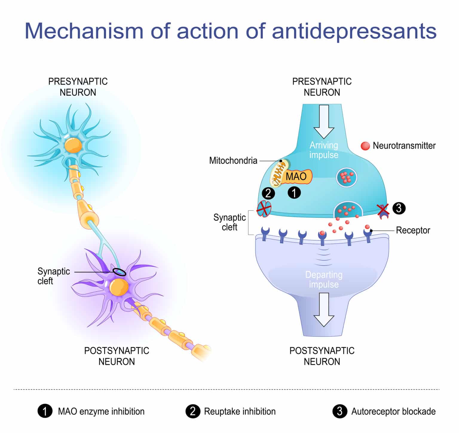 Tricyclic Antidepressants (TCAs): Mechanism, Side Effects, Interactions ...